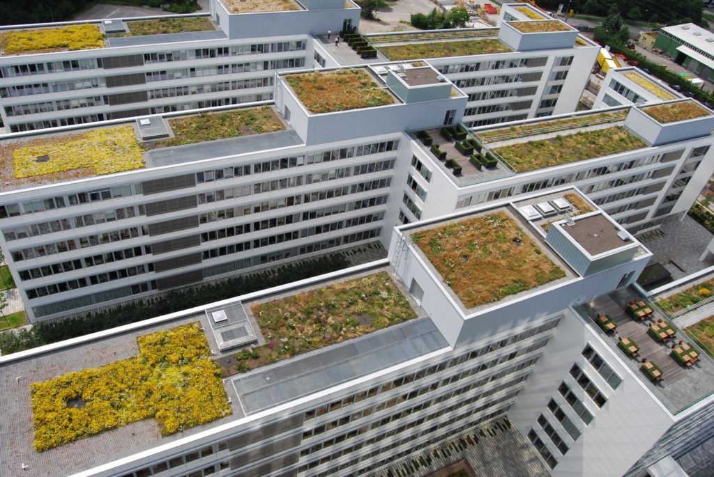 Biodiverse Roof, Germany | EFB
