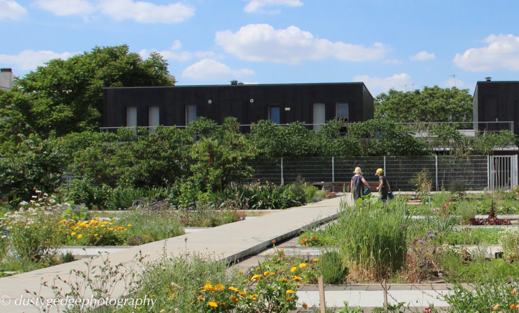 Intensive Green Roof, France | EFB