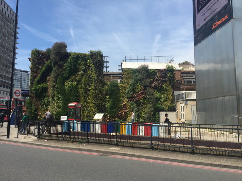 Living Wall, UK | EFB