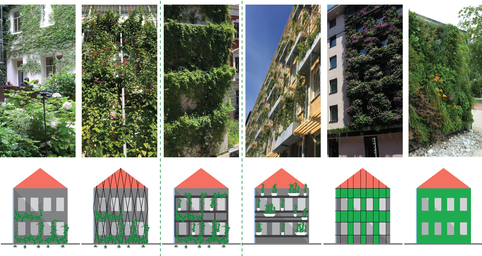 Green Wall Basics | EFB