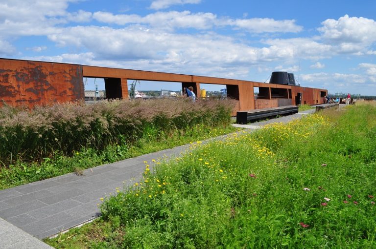 Semi-intensive Green Roof, Poland | EFB