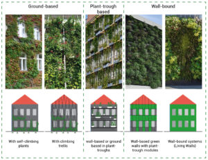 Green Wall Basics | EFB