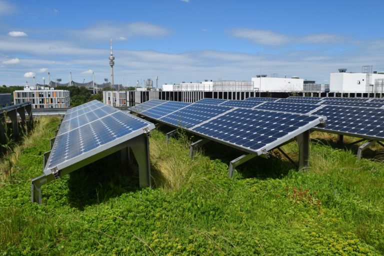 Biosolar Roof, Germany | EFB