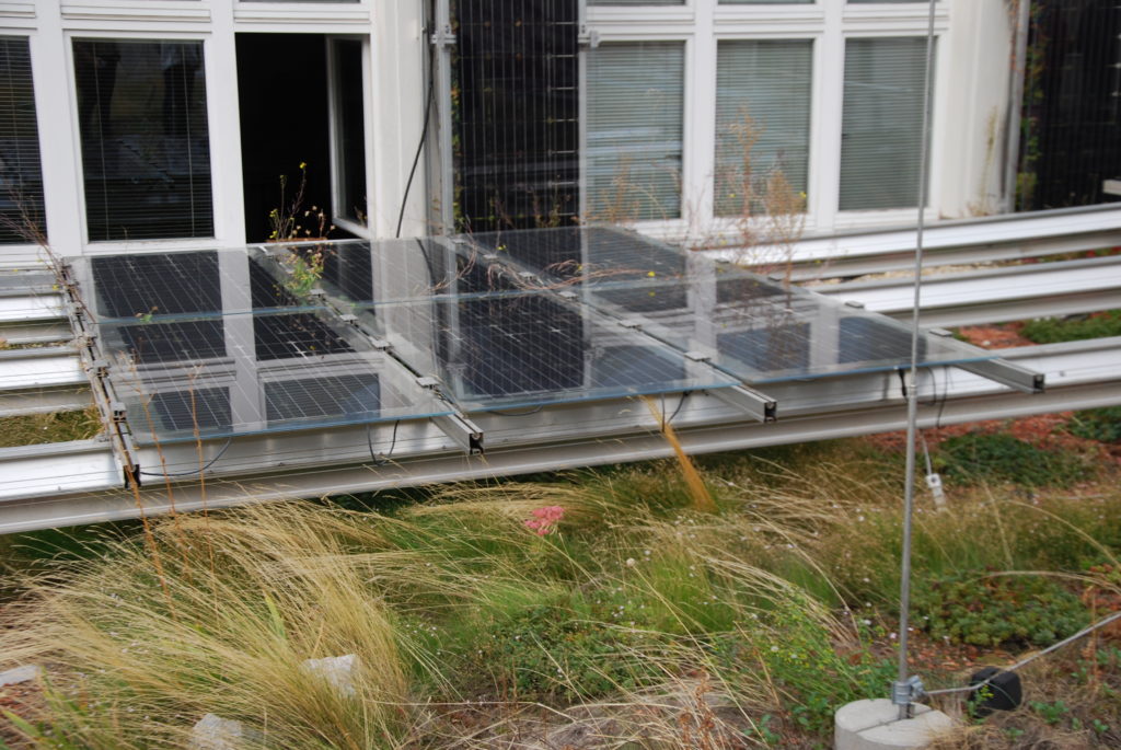 EFB | European Federation of Green Roof Associations