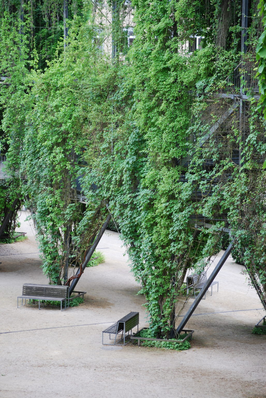 MFO Park with climbers, Switzerland | EFB