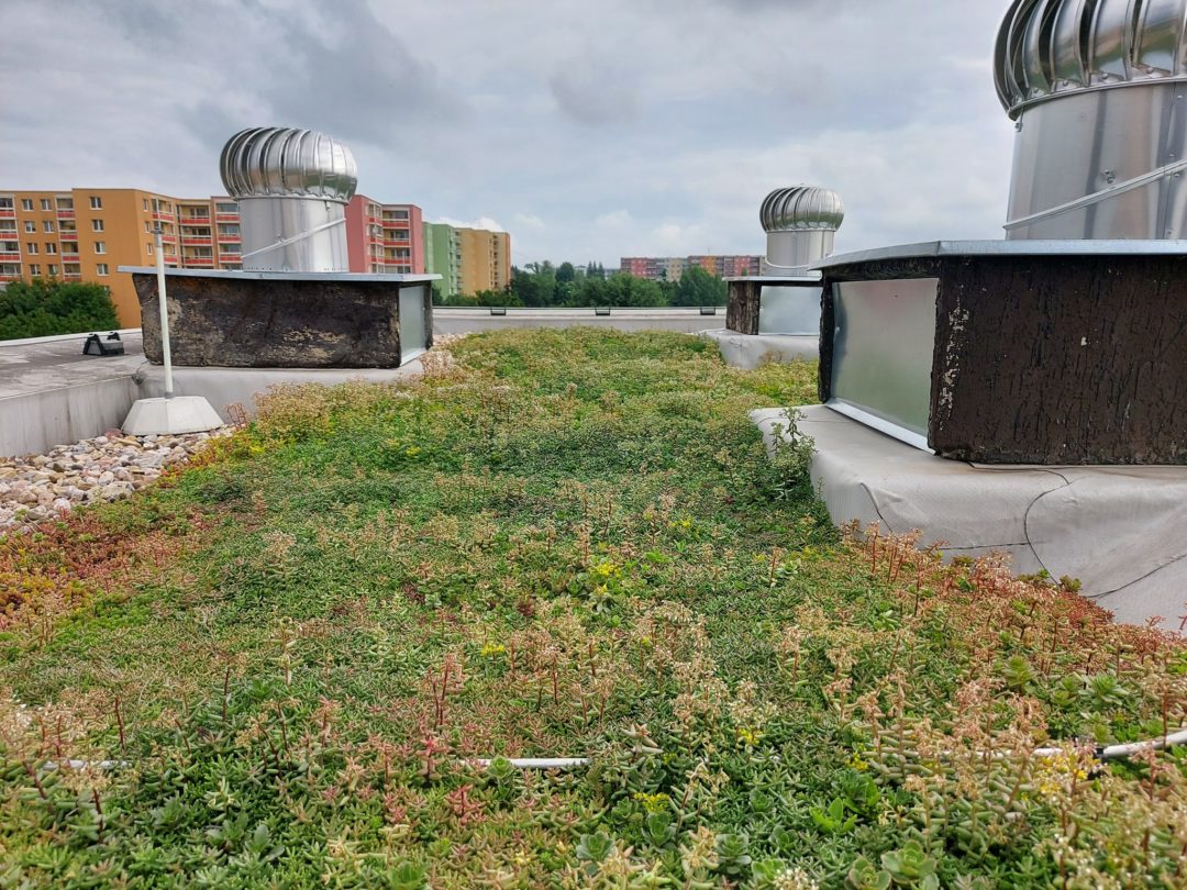 The 2022 Green Roof competition in the Czech Republic has a winner | EFB