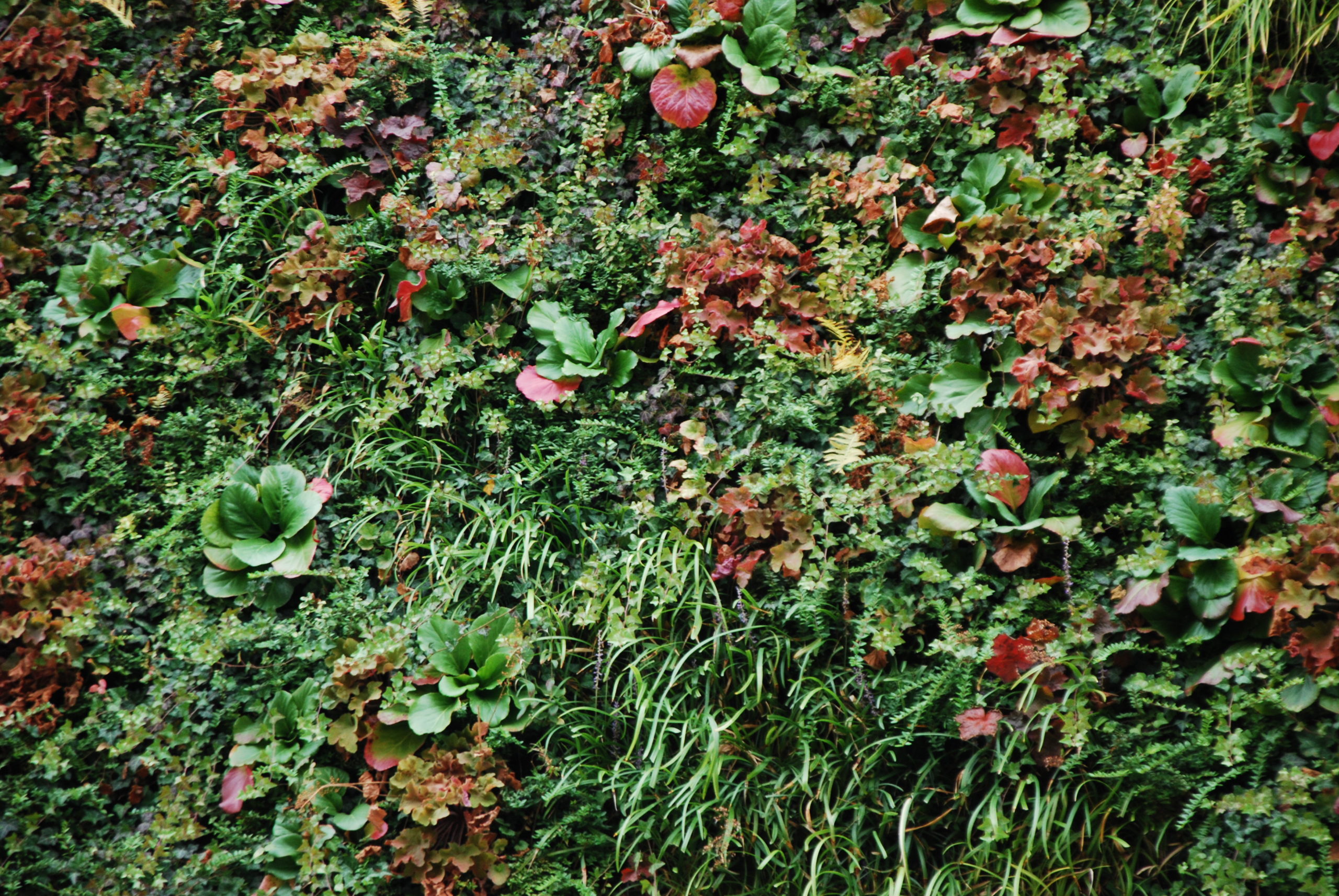 EFB | European Federation of Green Roof Associations